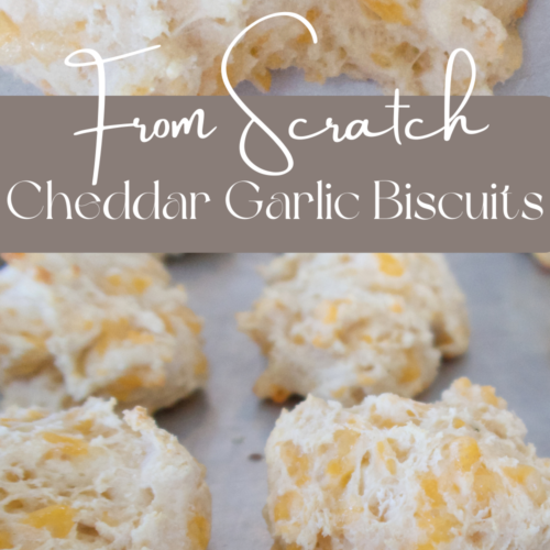 From Scratch Cheddar Garlic Biscuits - Our Herd of Turtles