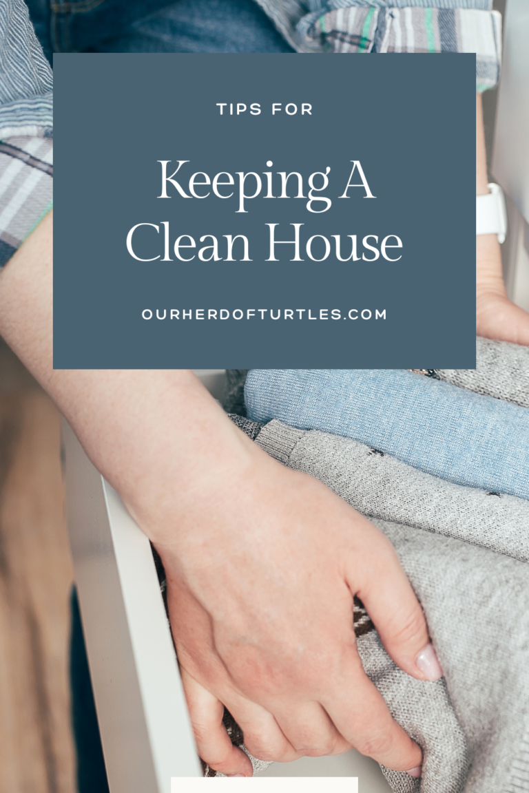 Keeping A Clean House: Tips for Busy Families - Our Herd of Turtles